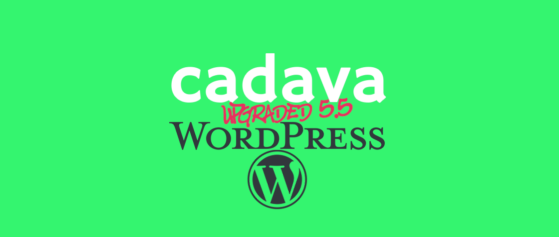 Cadava Upgrades all Wordpress Instances to 5.5 Ekstine